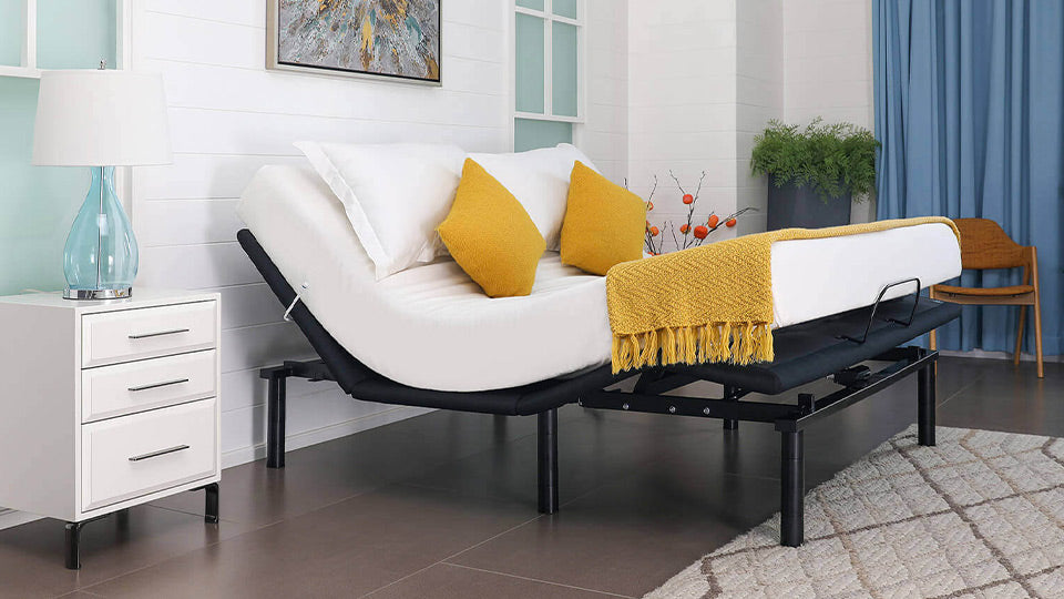 Introducing the Ergomotion Quest Line-Up | Bedplanet