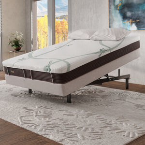 Ergo-Pedic iTilt Incline Therapy Adjustable Bed | Bedplanet